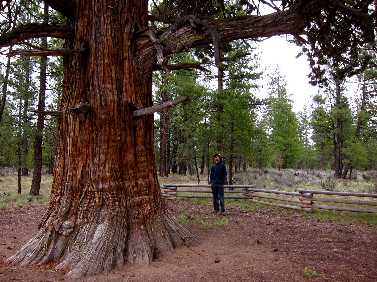Physical and Cognitive Challenges in the Outdoors: Lake County, Oregon ...