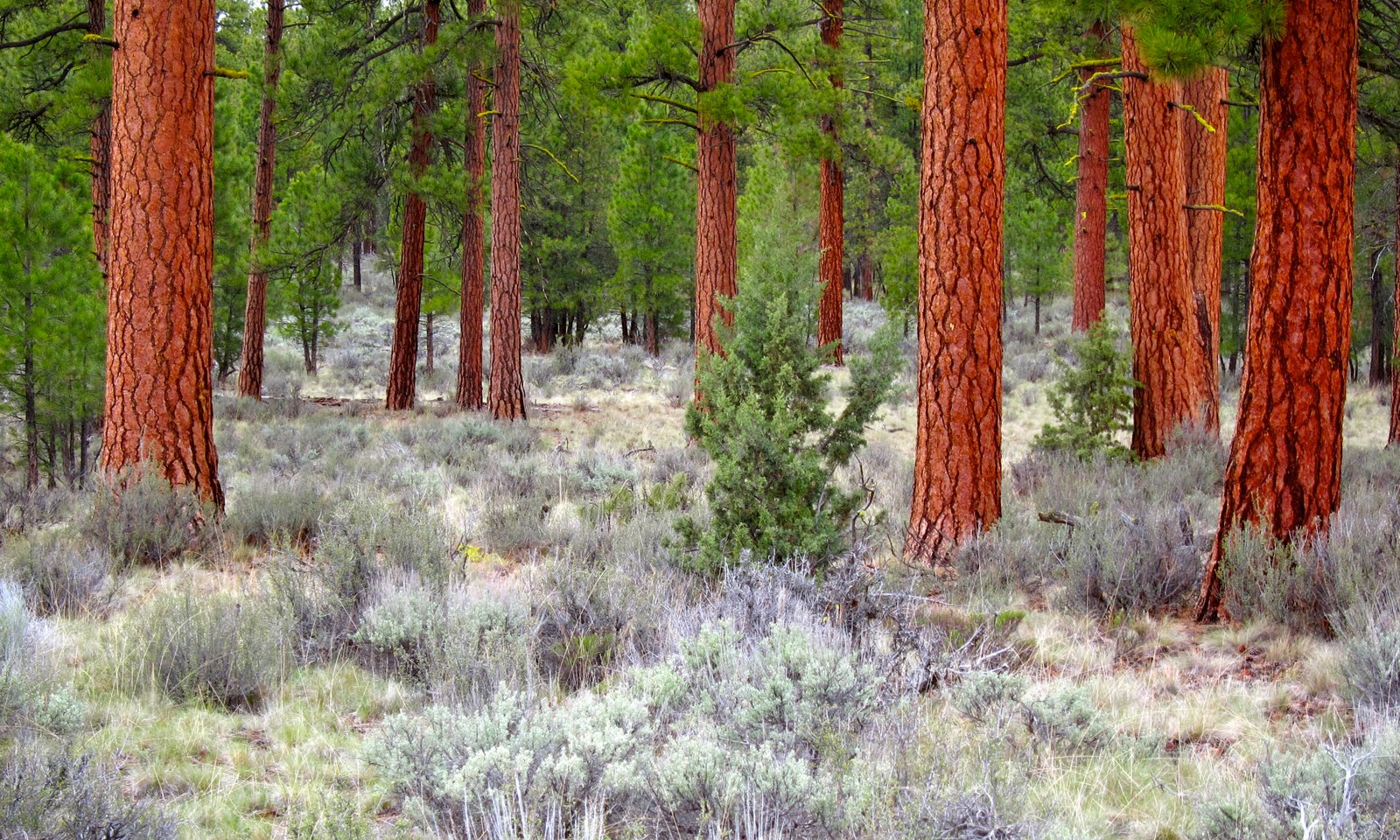 Physical and Cognitive Challenges in the Outdoors: Lake County, Oregon ...