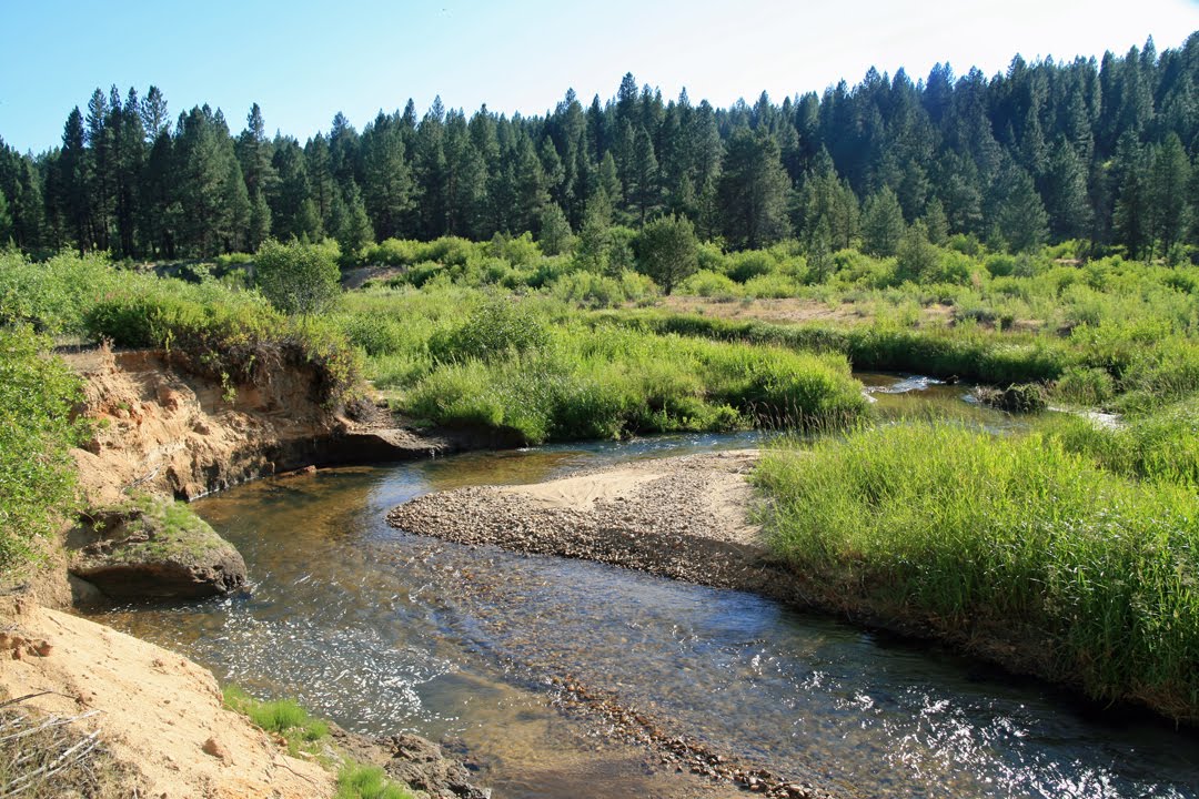 your apples are my oranges: jaybear and shmemily ride again: the ghost ...