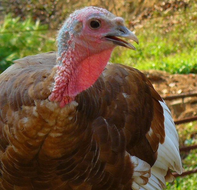 BooneDocksWilcox: Sept 22nd Photo's