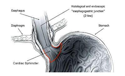 Science, Natural Phenomena & Medicine: January 2009