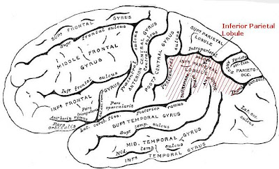 Science, Natural Phenomena & Medicine: 2009