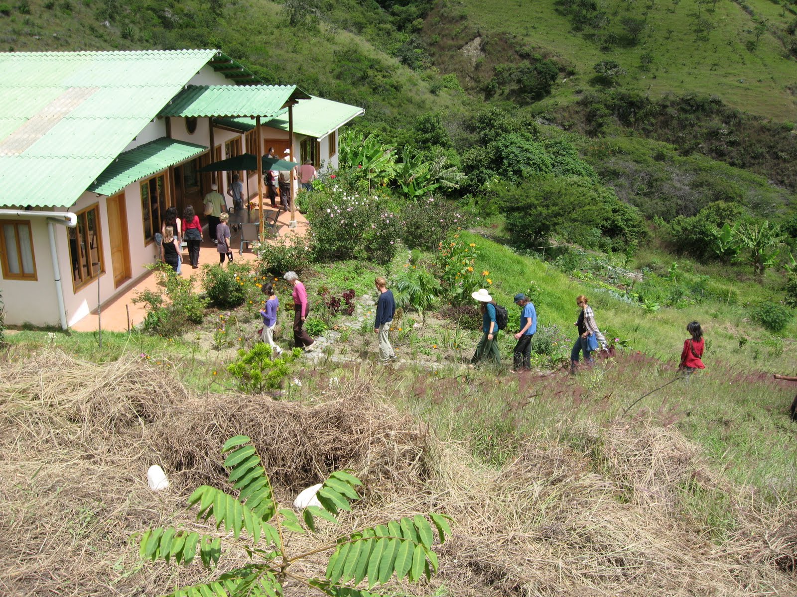 David's Travel to Ecuador: Touring of local bio-diverse farm