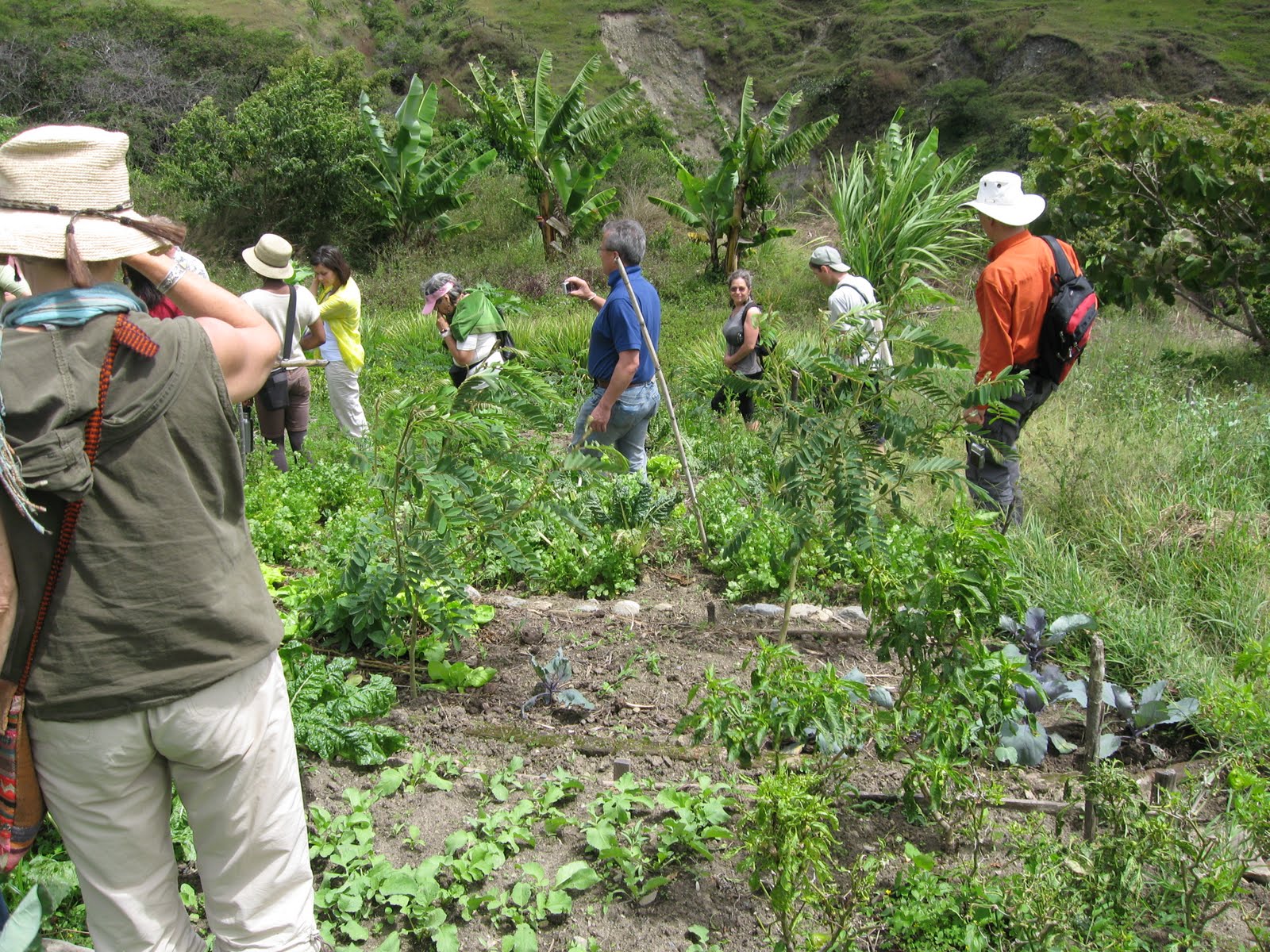 David's Travel to Ecuador: Touring of local bio-diverse farm