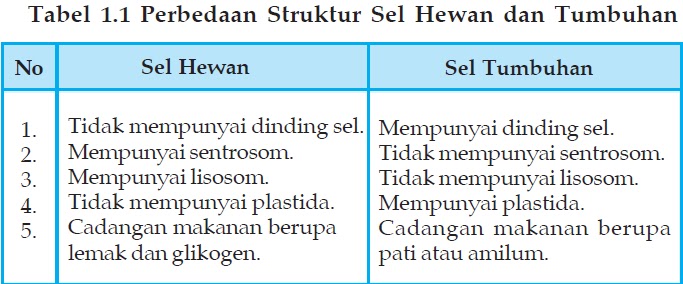 Perbedaan Sel Tumbuhan Dan Sel Hewan - Perumperindo.co.id Perbedaan Sel Tumbuhan Dan Sel Hewan - Perumperindo.co.id