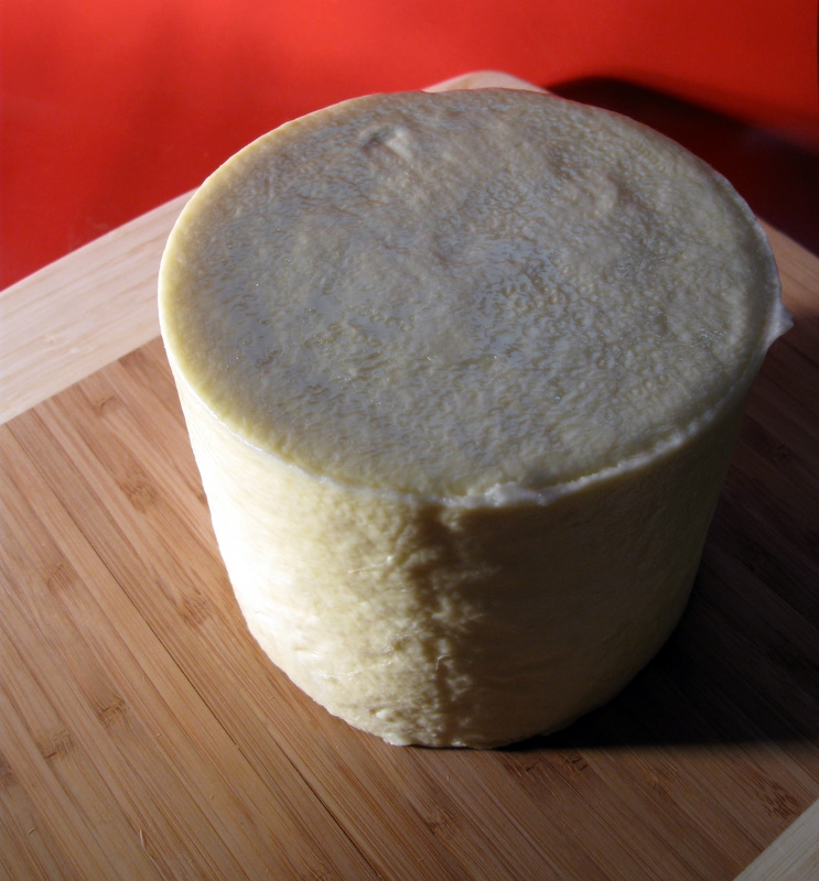 Cheese A Day: May 2009