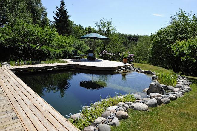 Junckerhaven: Havebassin fra start til slut