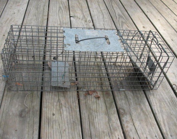 Sensible Survival: Survival Trapping - Store Bought Traps