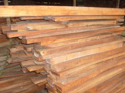 UD. Berkah Alam ( Wood Working ): Jual: SAWN TIMBER KAYU MAHONI