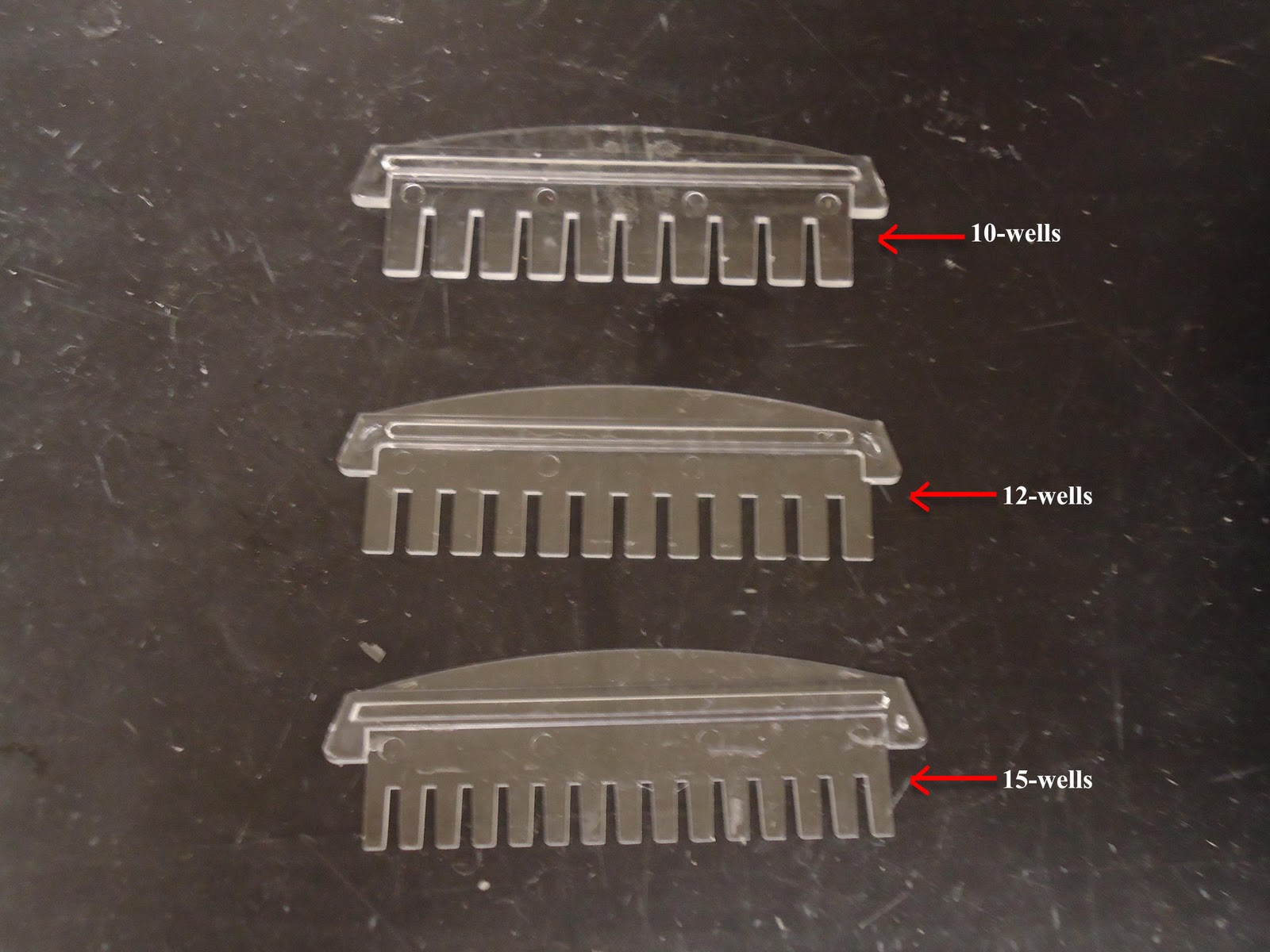 Desert Fantasy: How to do a nice Western Blot 101-Making a pre-cast gel