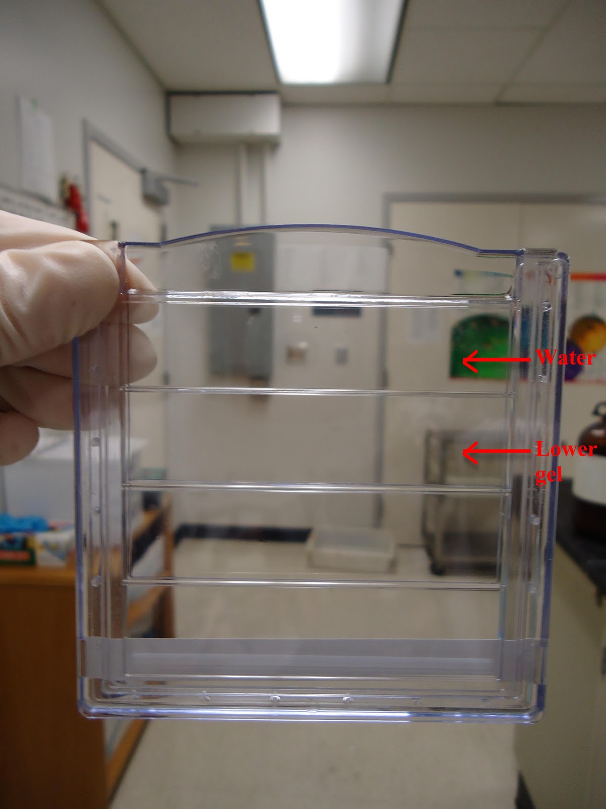 Desert Fantasy: How to do a nice Western Blot 101-Making a pre-cast gel