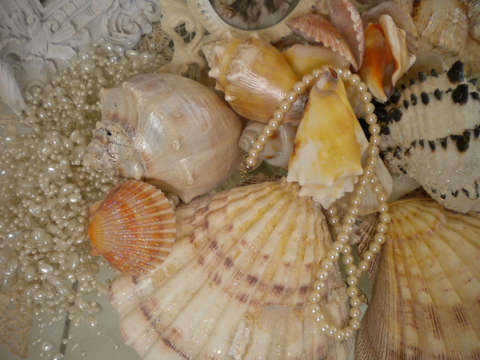 Romantic treasure: CARACOLES , ALMEJAS, PERLAS