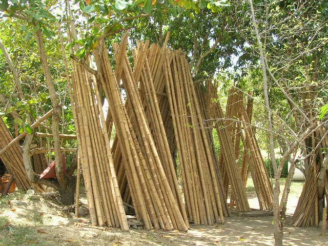 BAMBU, GUADUA. CASAS con diseños biclimáticos y vanguardistas: LA GUADUA