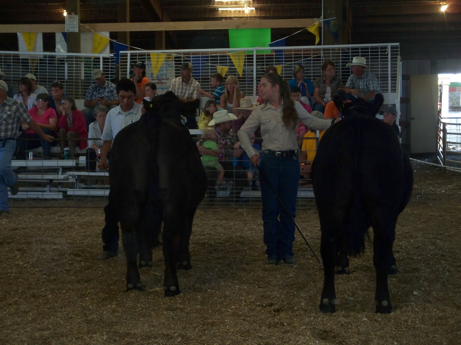 Blissfully Natural Cora: 2010 Gooding County Fair