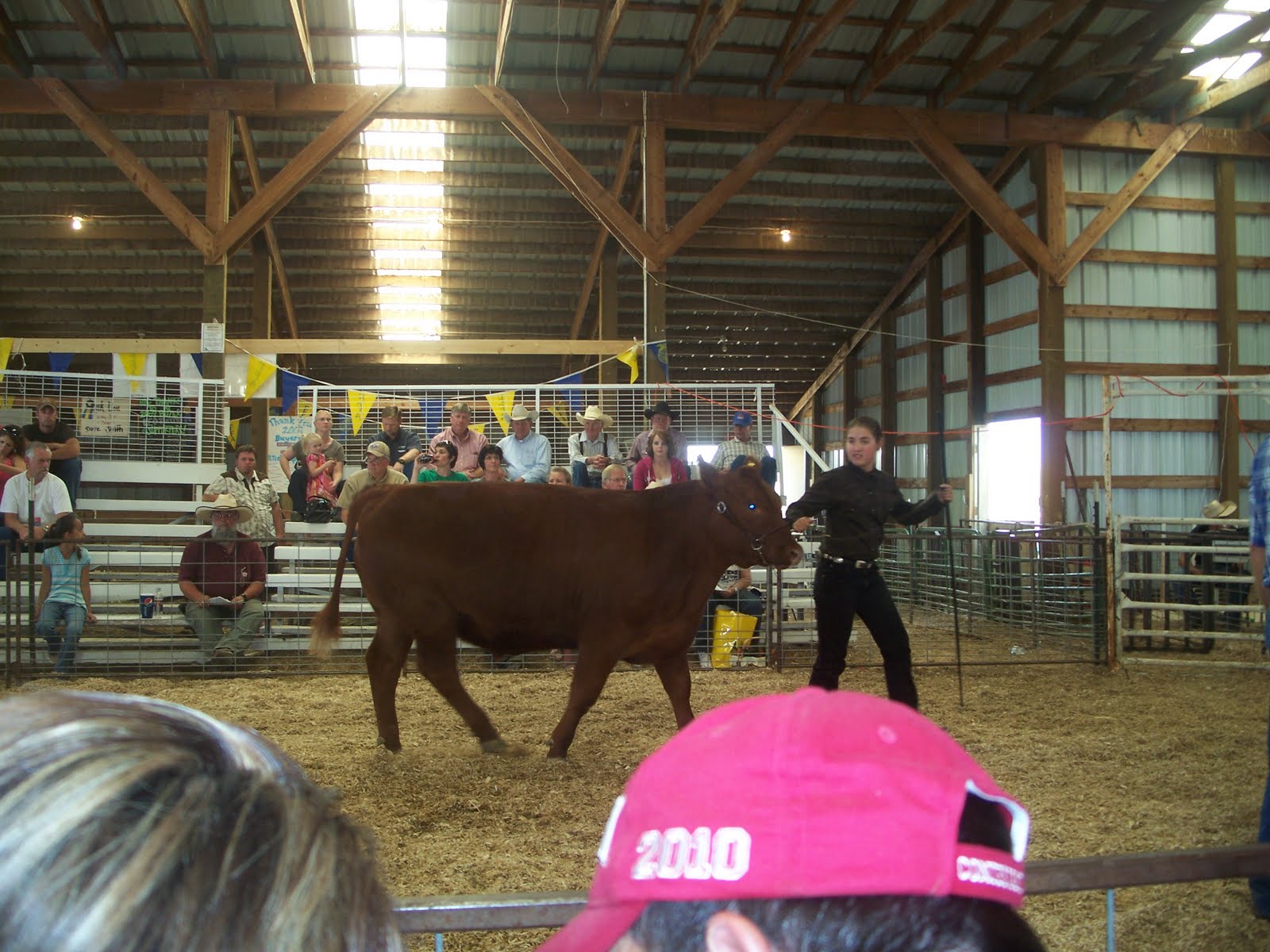 Blissfully Natural Cora: 2010 Gooding County Fair