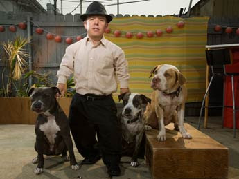 SHELTER TAILS: News Round Up