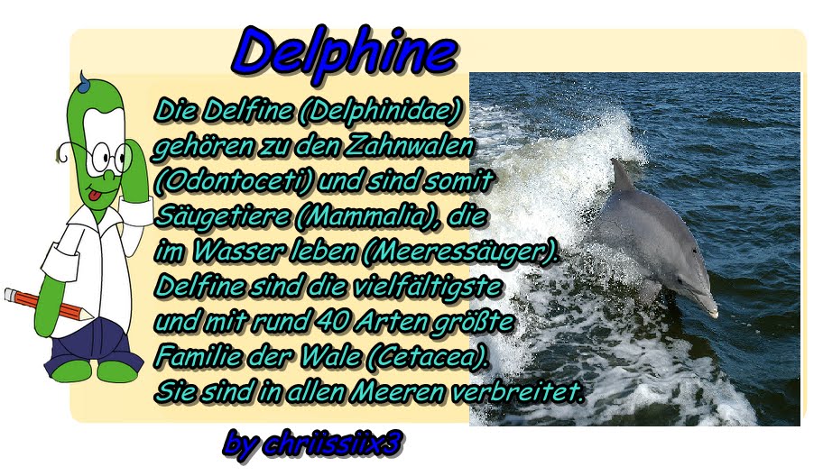 Chriissiix3s Chobotsblog: Style und Schriftrolle