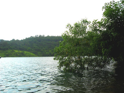 Wilderness Tales from Odisha: Panchshet Lake