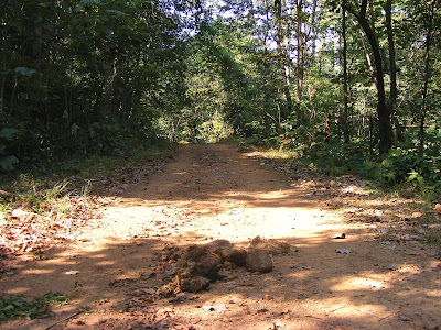 Wilderness Tales from Odisha: Satkosia at Tikarpada-Day 2