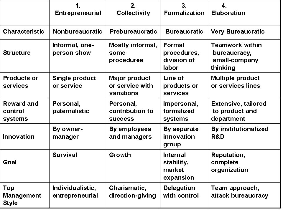 Epigenetic organizations: The developmental model (stage 2)