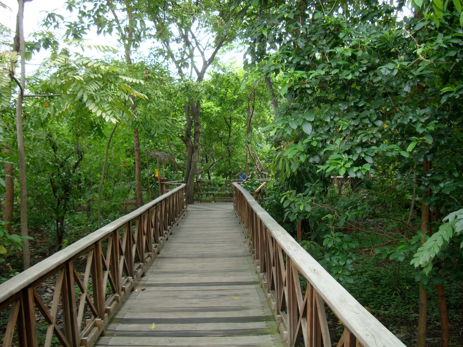 sakurafille: Guayaquil: Parque Histórico