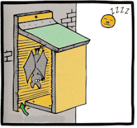 The Connell Family Blog Spot: Bird & Bat Boxes..