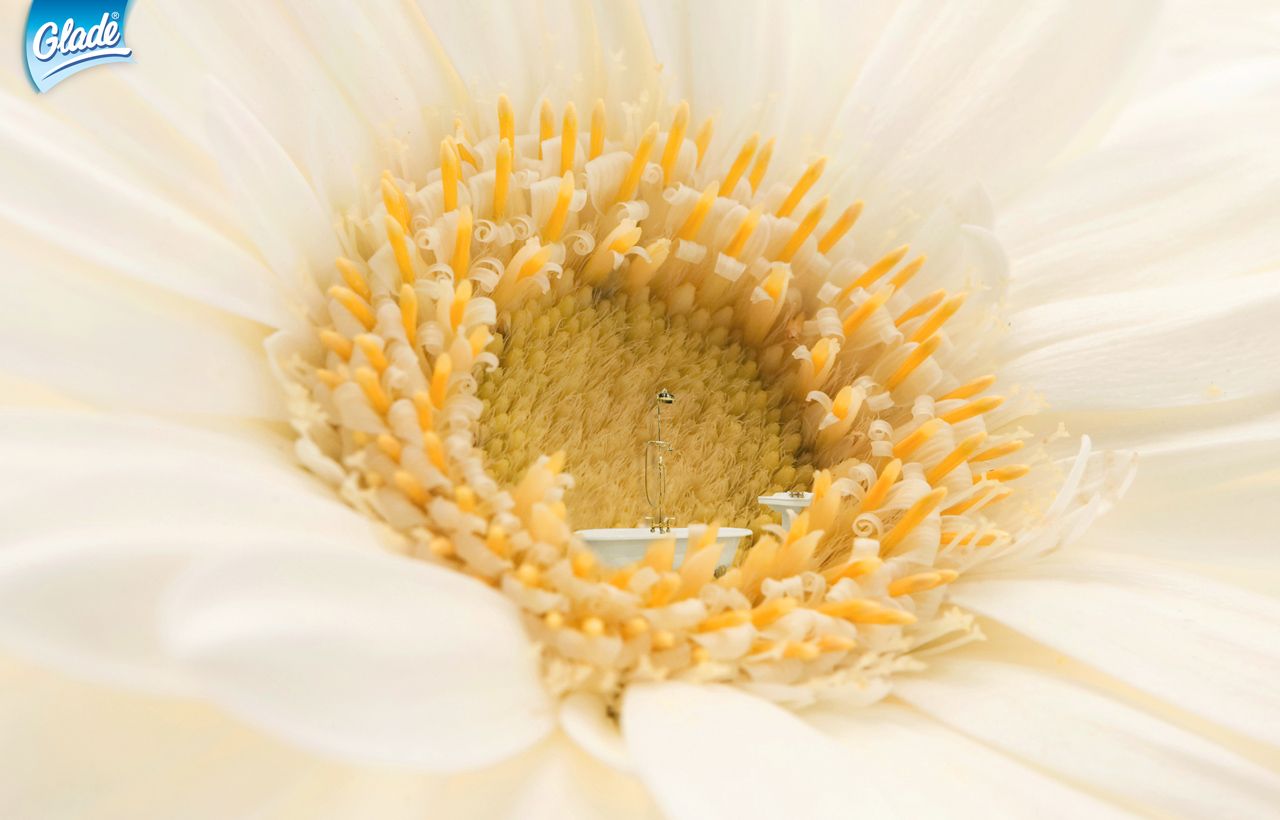 La frescura de Glade: Flores