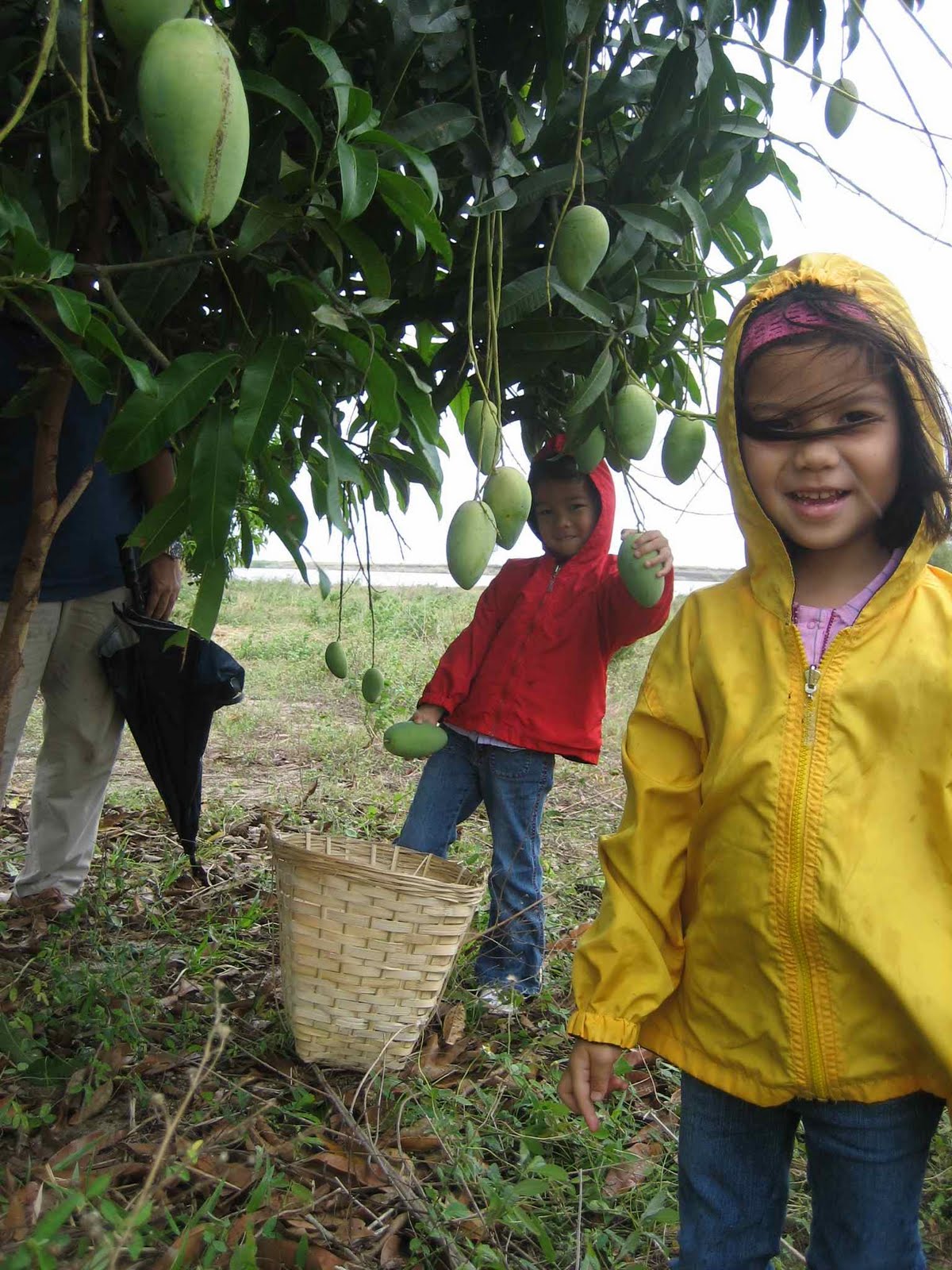 No Doors: May is for Mango