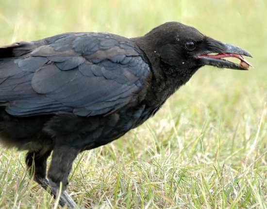 These Three Girlies: 1000 Miles in 2011 - Day 16