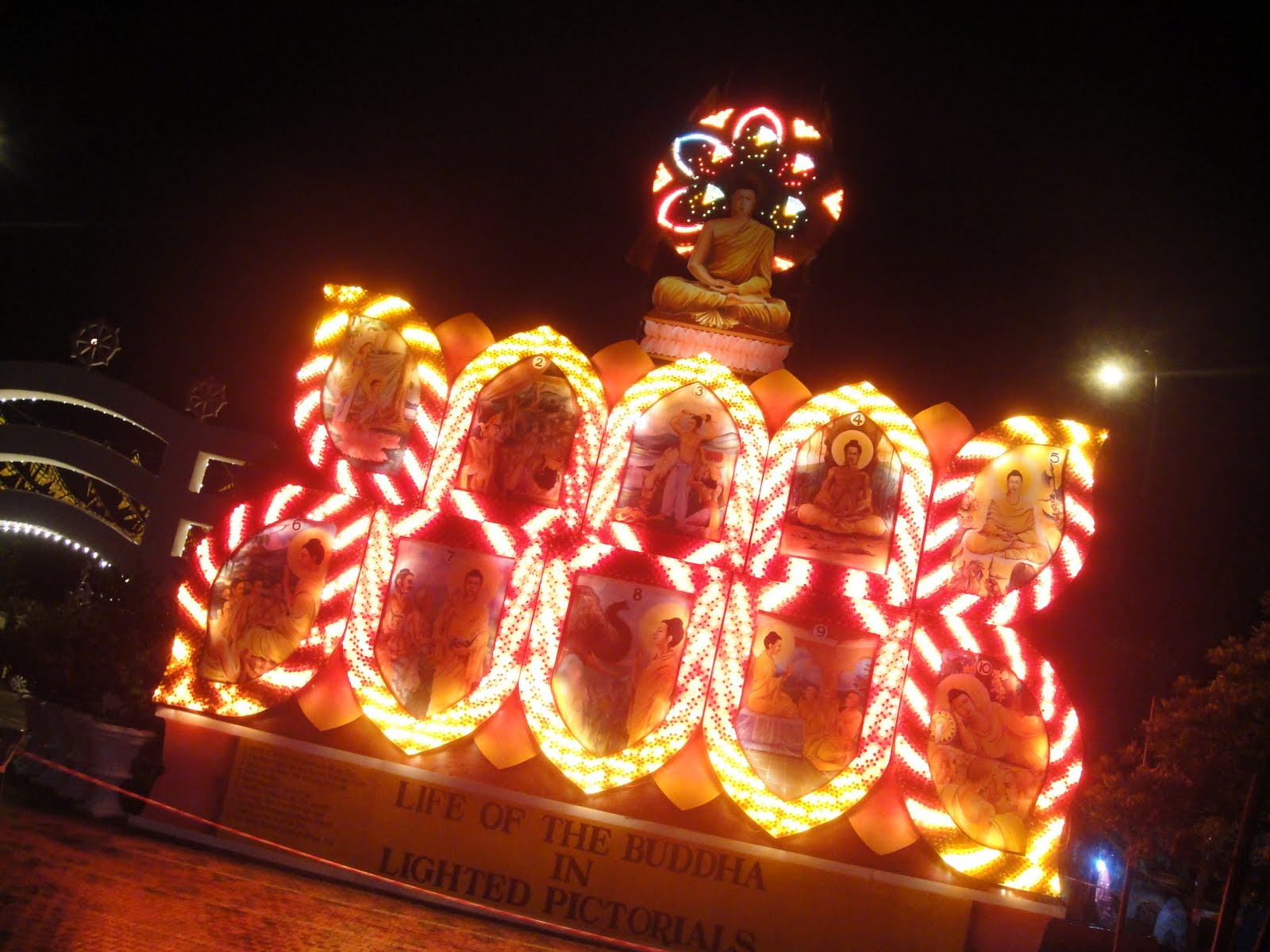 Ben In Brisbane: Thorana in BISDS