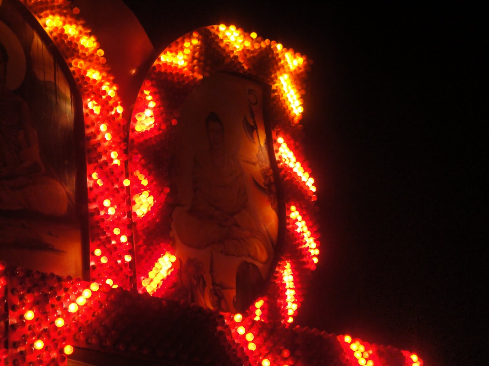 Ben In Brisbane: Thorana in BISDS