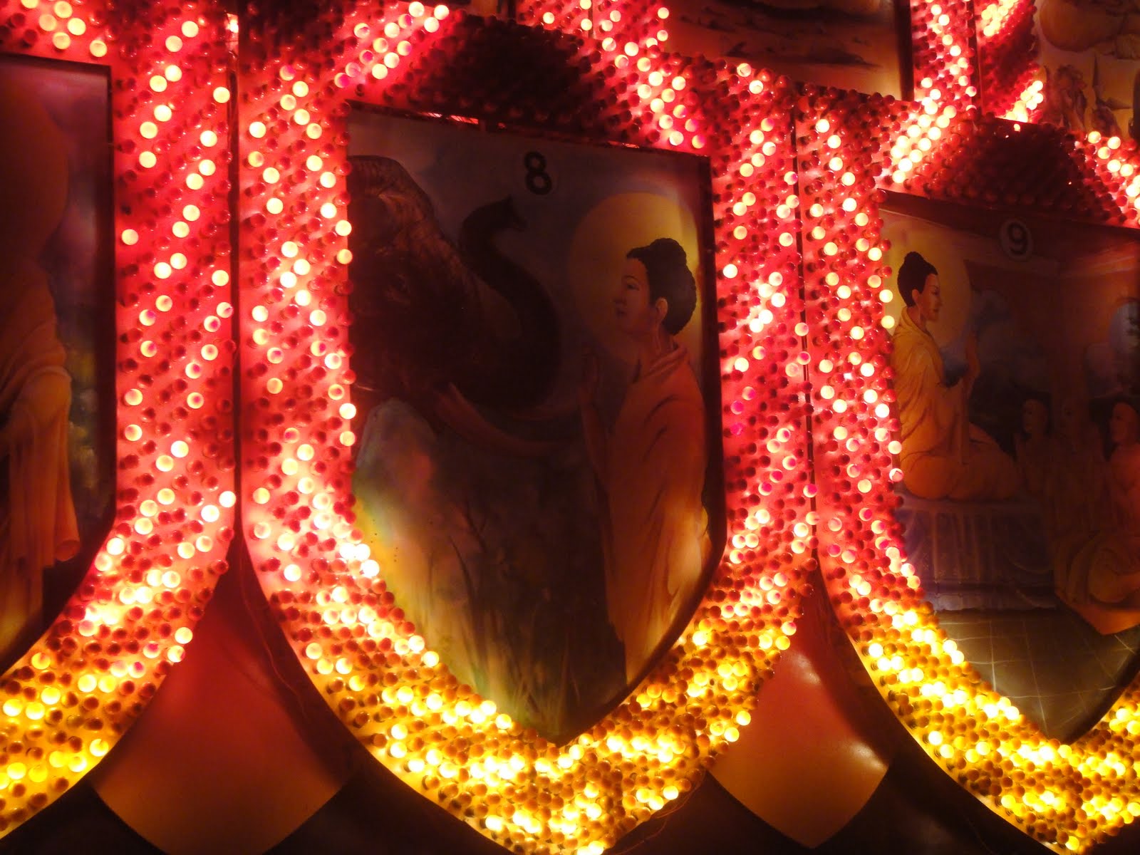 Ben In Brisbane: Thorana in BISDS