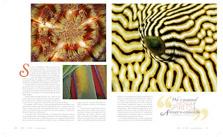 Jennifer Rabinowitz Editorial Design
