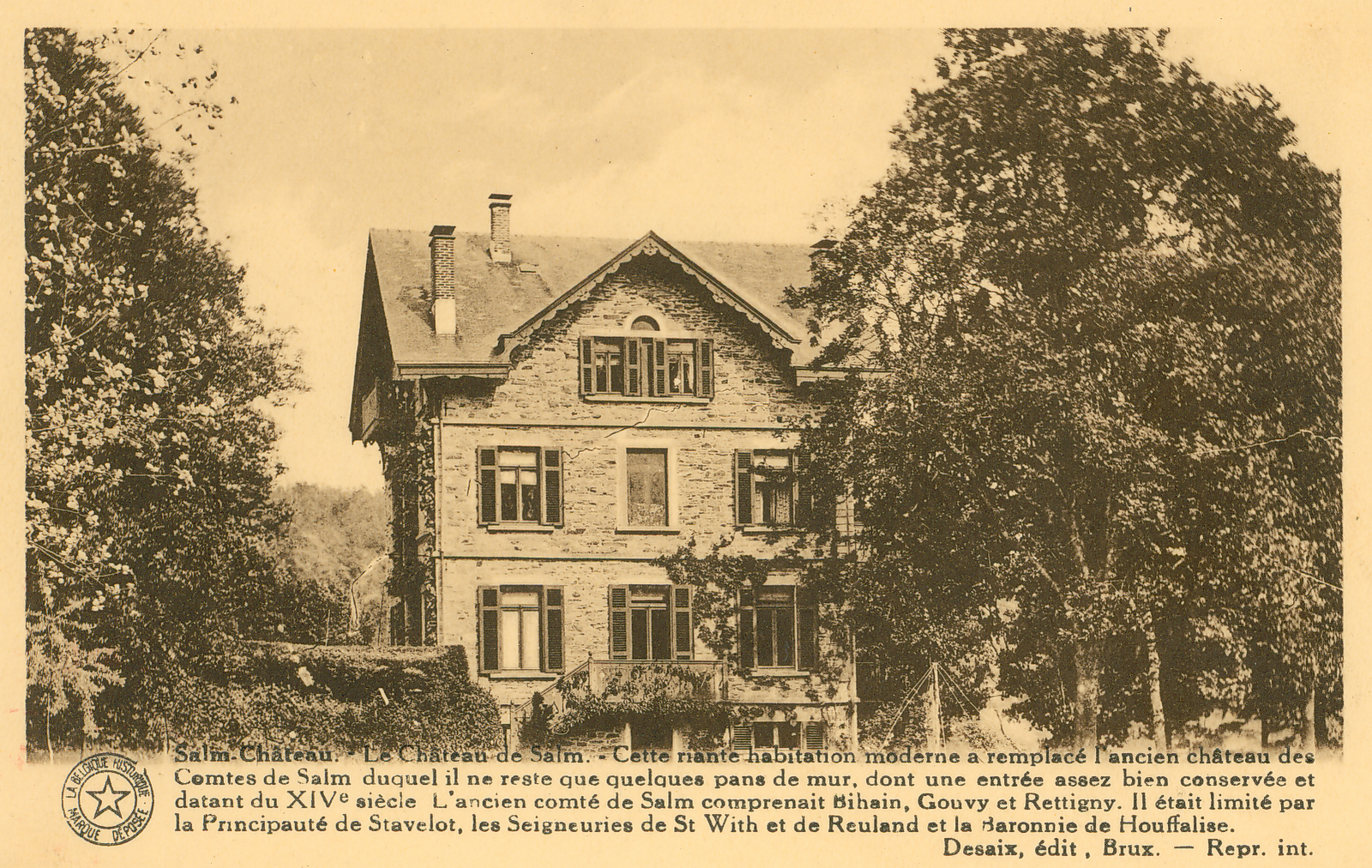 Vielsalm et ses environs: Salm-Château. — Le Château de Salm.