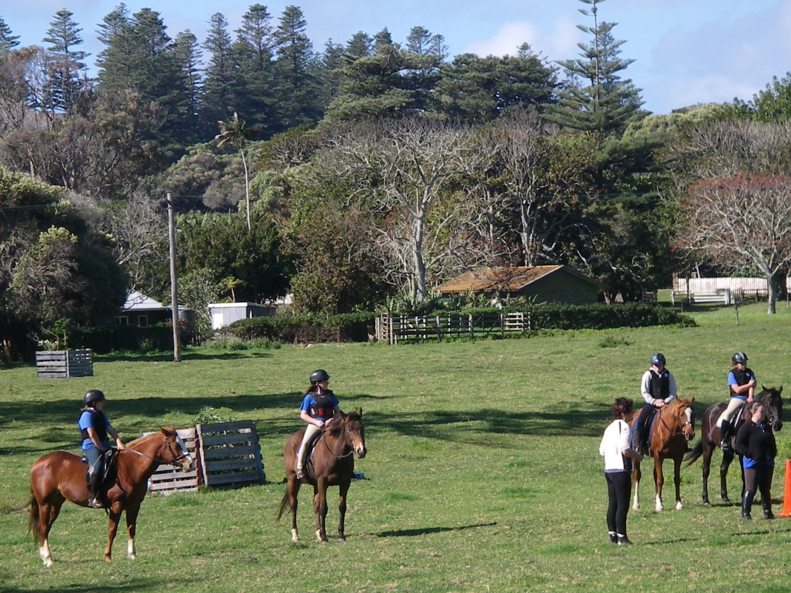 Norfolk Island Pony Club & Equestrian Association: May 2010 Pony Club ...