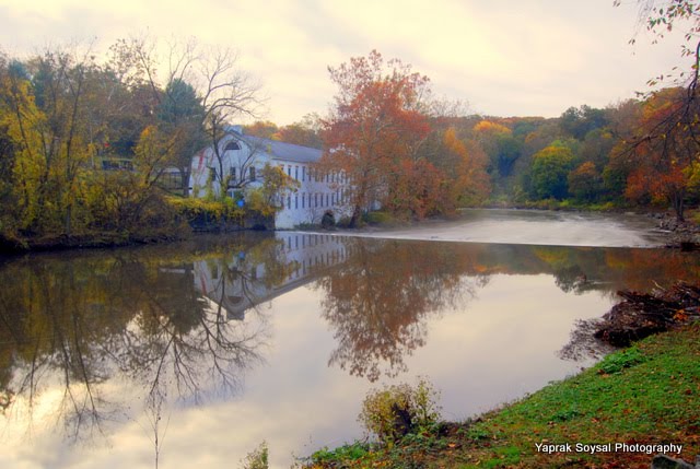 Yaprak Soysal Photography: Fall scenery around Wilmington - DE