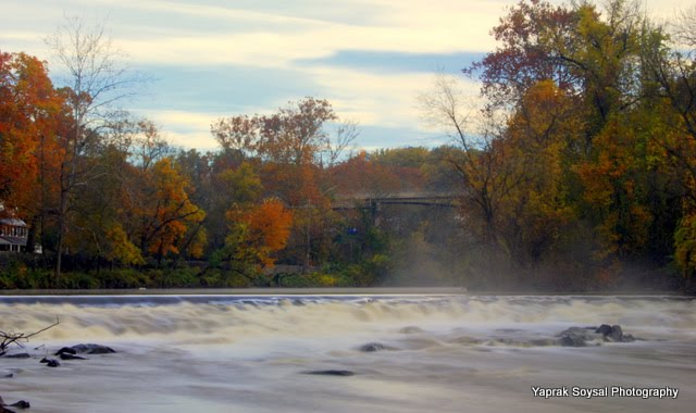 Yaprak Soysal Photography: Fall scenery around Wilmington - DE