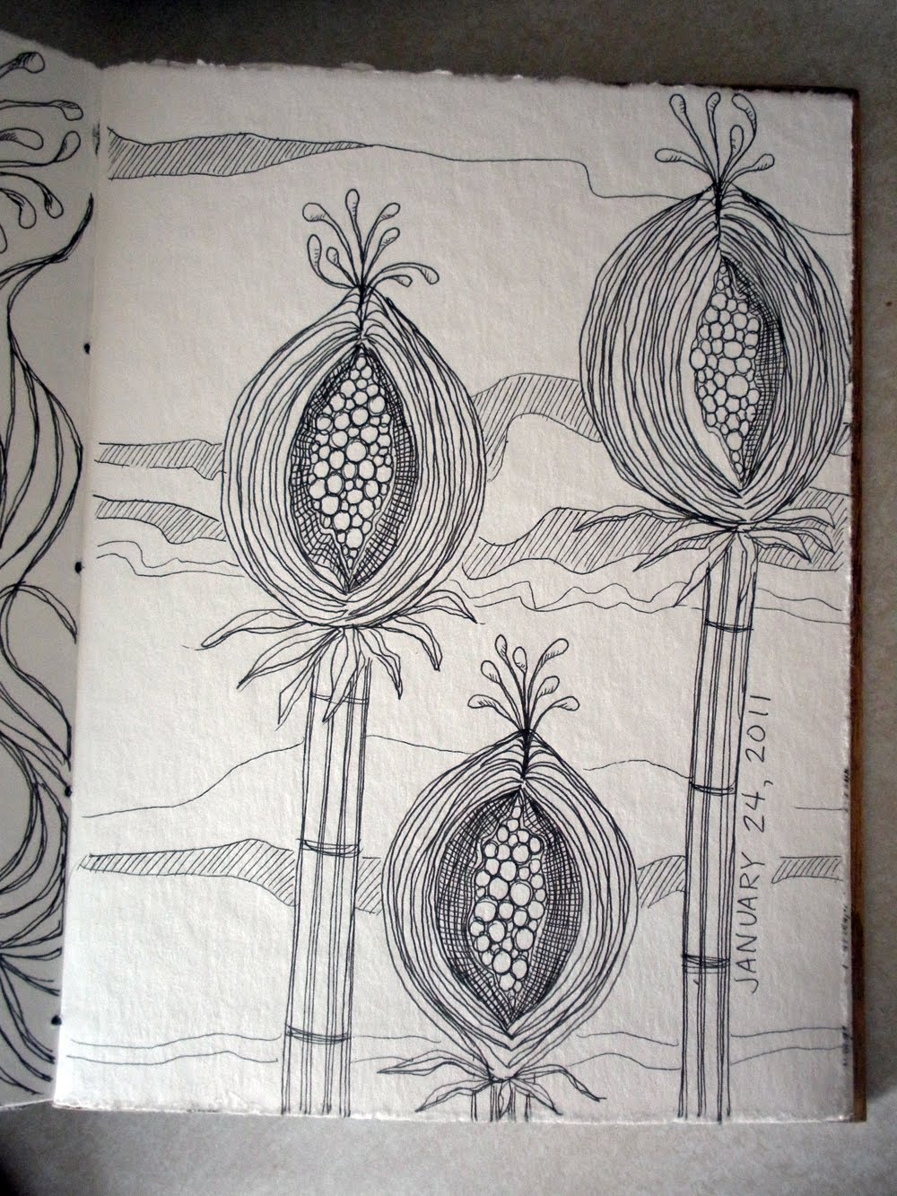 RAEvN's Nest: Doodling Continued