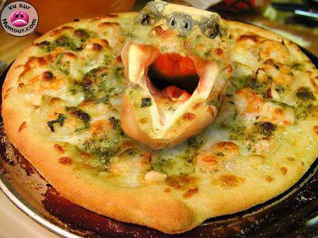 Funny Food | Funny Comedy Pics