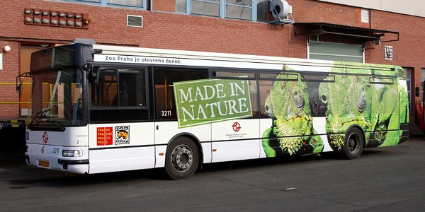 Amaze Pics & Vids: Amazing Zoo Buses - Photos...