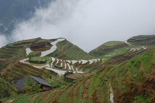 Amazing Rare Photos of White Terraces and Rice Terraces | ~Spicx~