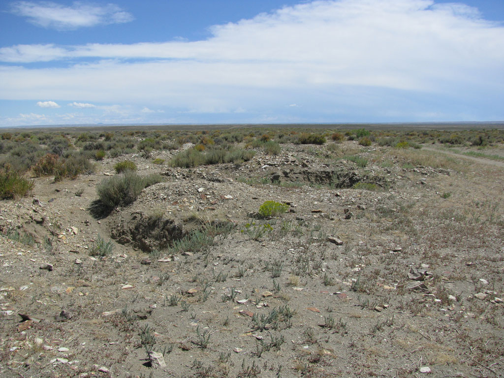 Views of the Mahantango: "Blue Forest"