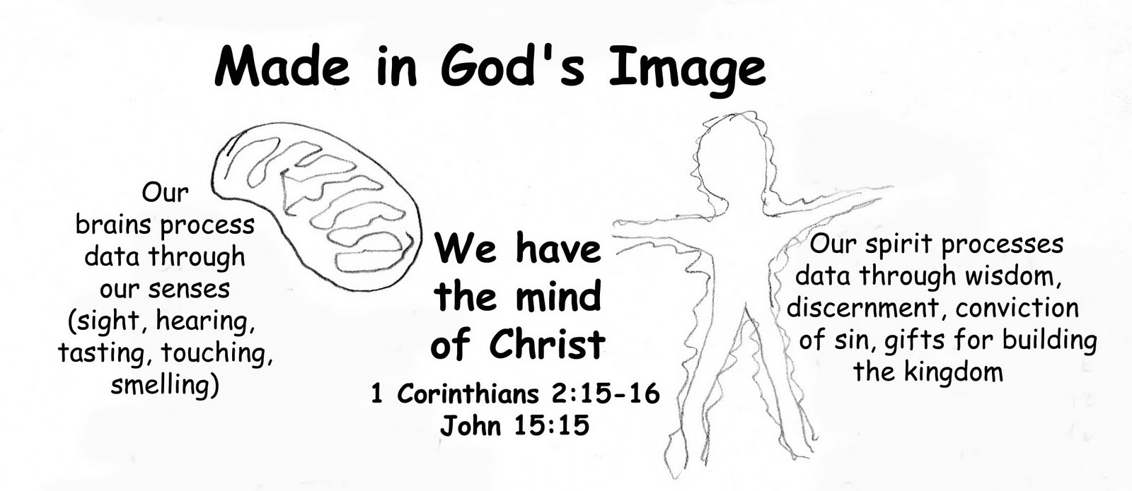 Getting To Know God: Made in God’s Image