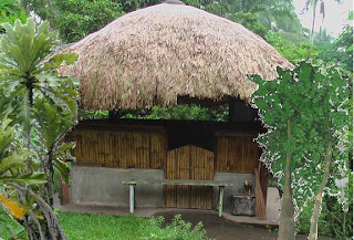 bicol lubi-lubi: Mayong Lubi-lubi sa Bahay Kubo
