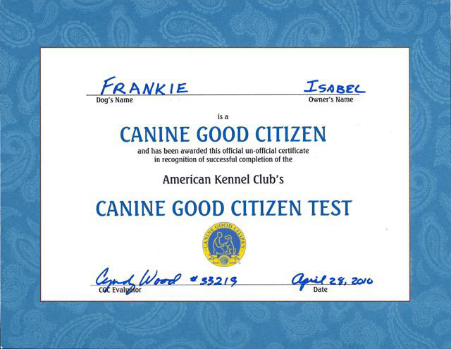 What Is Cgc Certification For Dogs