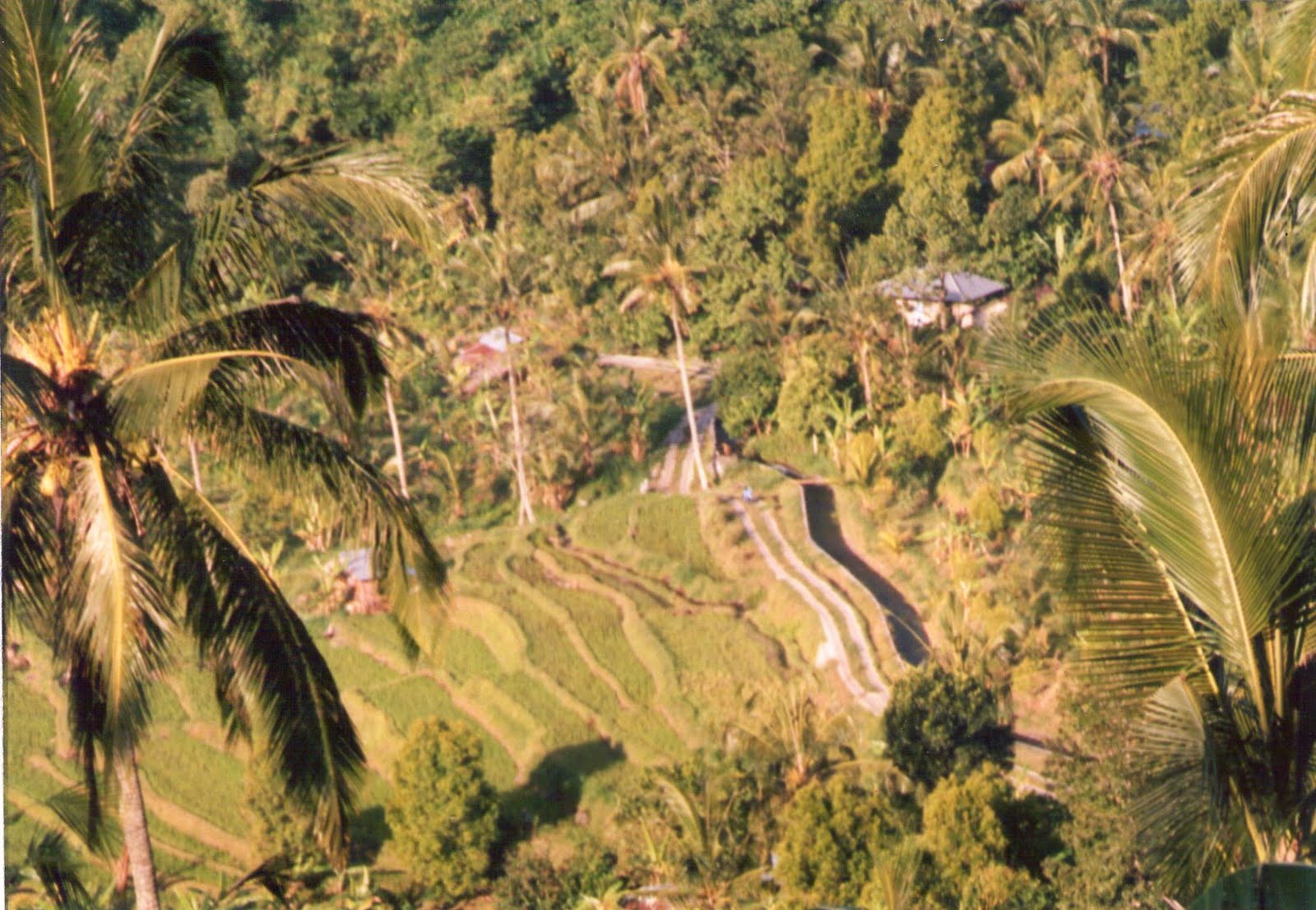 Jembong Water Fall
