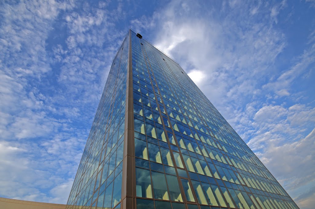 The Urban Birder: Usce Tower