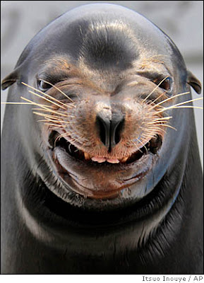 Friday Flash Fiction: February 2010