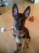 Making New Monsters: Ode to a Mr. Misty Float