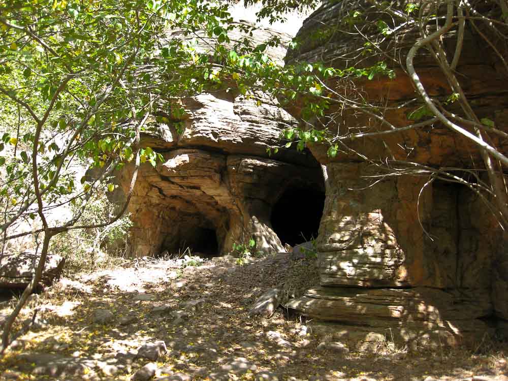 Des Cévennes au Burkina Faso